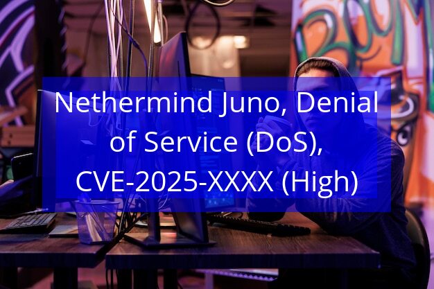 Nethermind Juno, Denial of Service (DoS), CVE-2025-XXXX (High) - DailyCVE